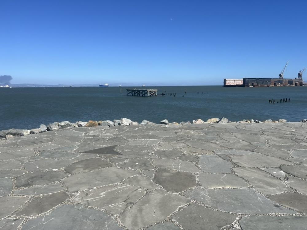 Chasing the Horizon | UCSF Synapse